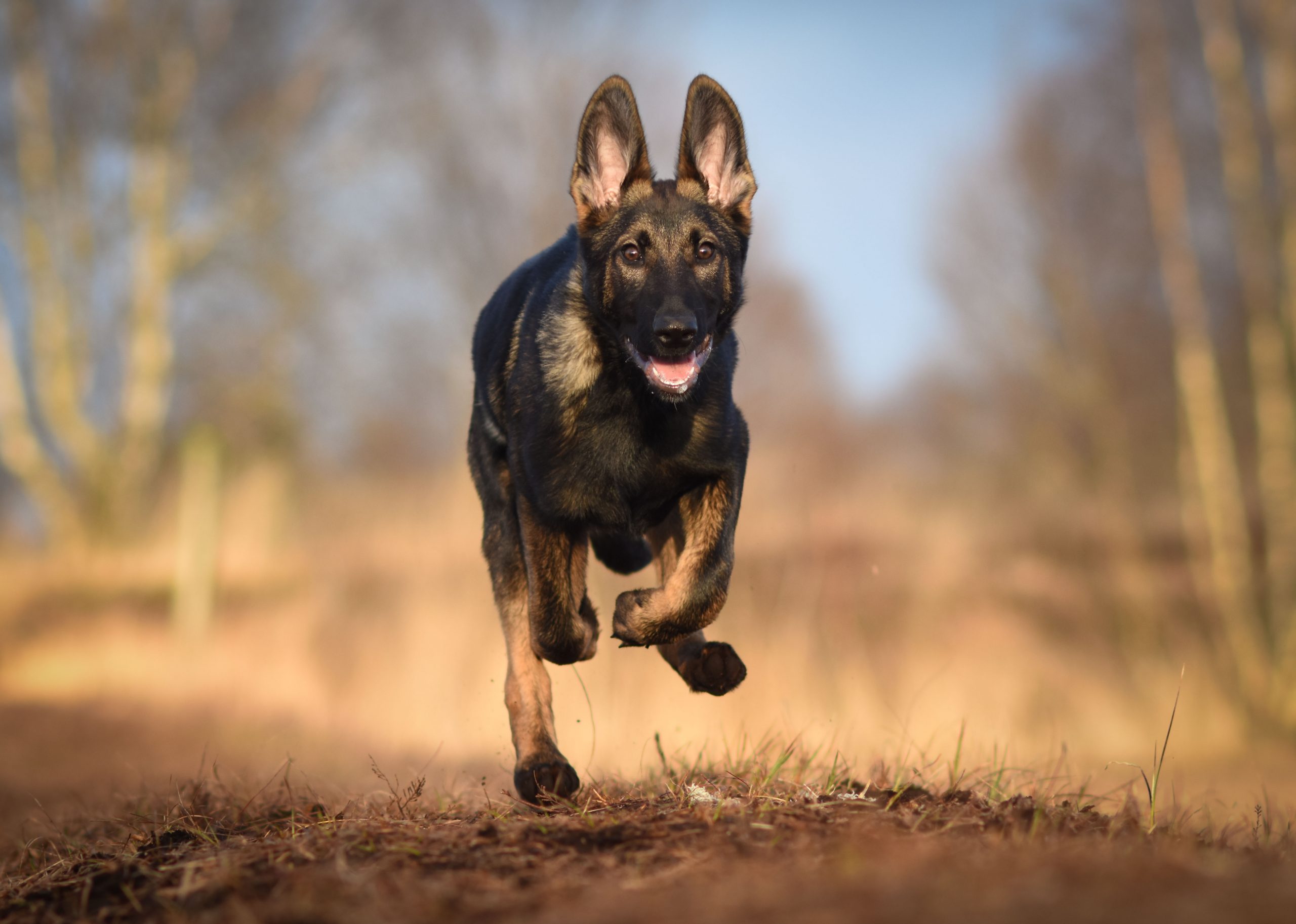 Be Content - Zebedee and Sons Fishing Co